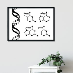 DNA Strand and Molecules Poster, Science Teacher Gift, Nerdy Home Decor ...