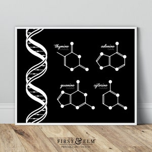 DNA Strand and Molecules Poster, Science Teacher Gift, Nerdy Home Decor ...