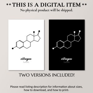 Estrogen Molecule Poster, Minimalist Science Art, Unique Classroom ...