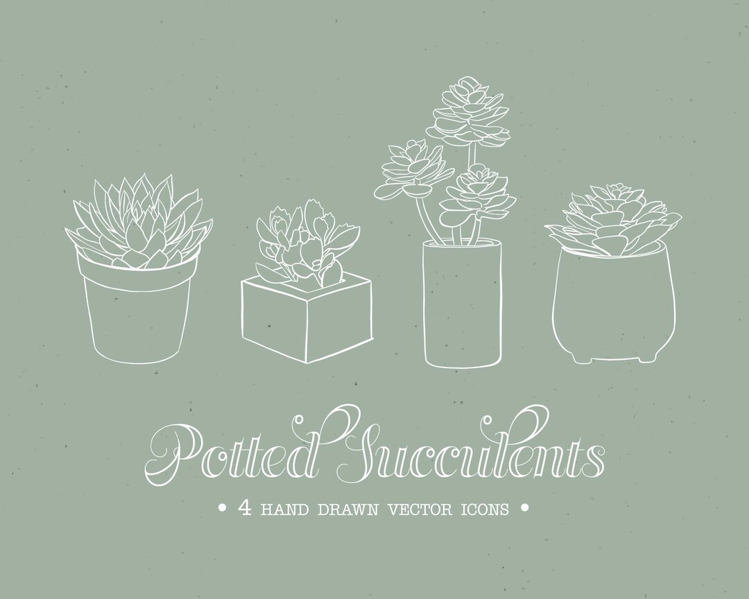 Potted Succulent Icons // Vector Illustrations // Logo Design // Plant ...