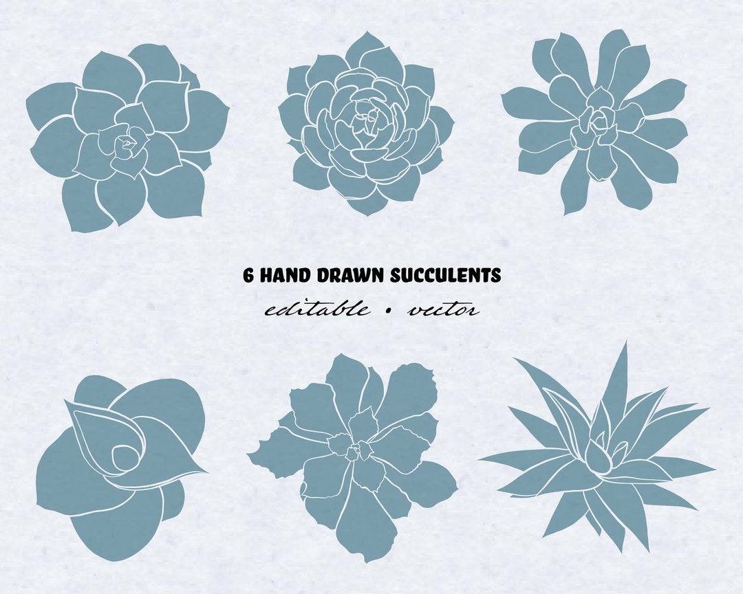Solid Succulent Icon Set // Logo Design // Vector Icons // Branding ...