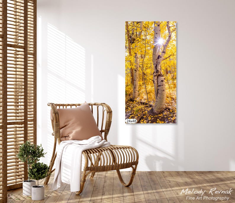 Aspen Tree Sunburst Print: Lake Tahoe Fall Landscape, Nature Wall Art ...