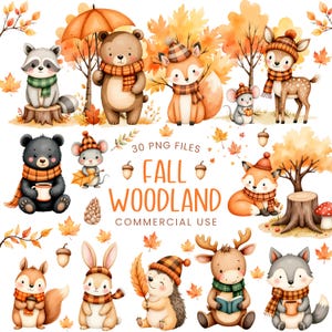 Fall Animal Clipart - Watercolor - Woodland Animals Png - Autumn - Cute ...
