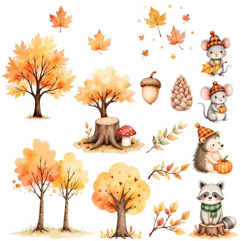 Fall Animal Clipart - Watercolor - Woodland Animals Png - Autumn - Cute ...