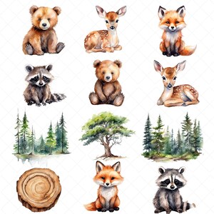 Cute Woodland Animals Clipart - Watercolor - Nursery - Baby Shower ...