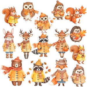 Fall Animal Clipart - Watercolor - Autumn Animals Png - Cute Fall Png ...