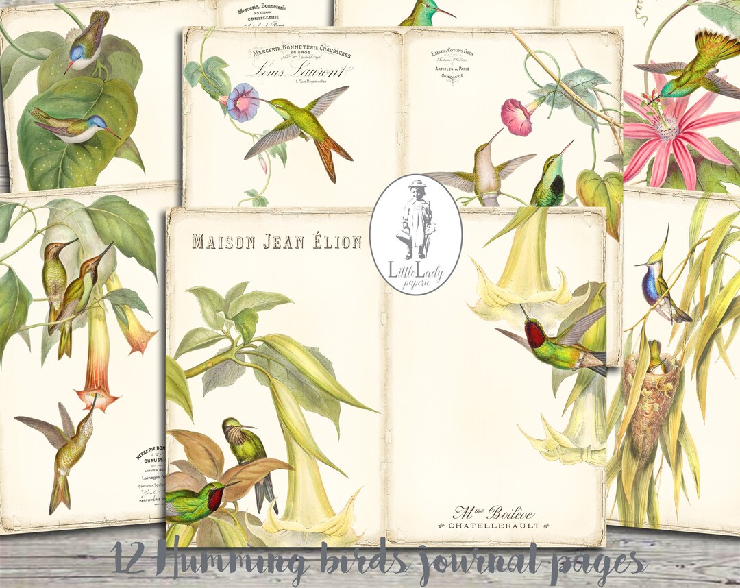 Birds Junk Journal Pages Digital Humming Bird Collage Sheet Birds ...