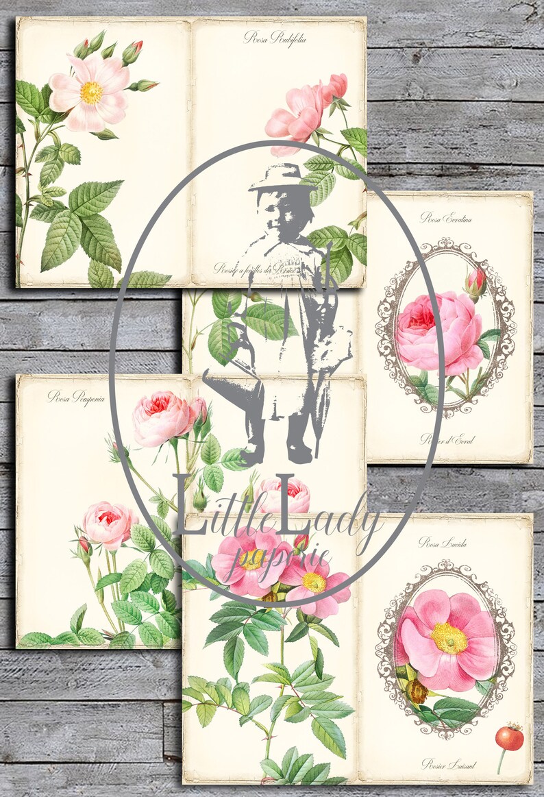 French Pink Rose Junk Journal Digital Pages French Rose Junk - Etsy