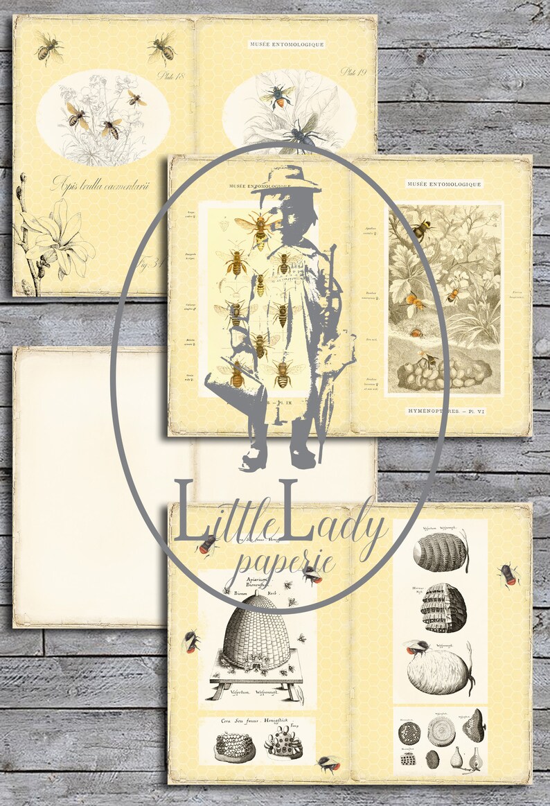 Bee Junk Journal Digital Bees Journal Pages Queen Bee Collage - Etsy