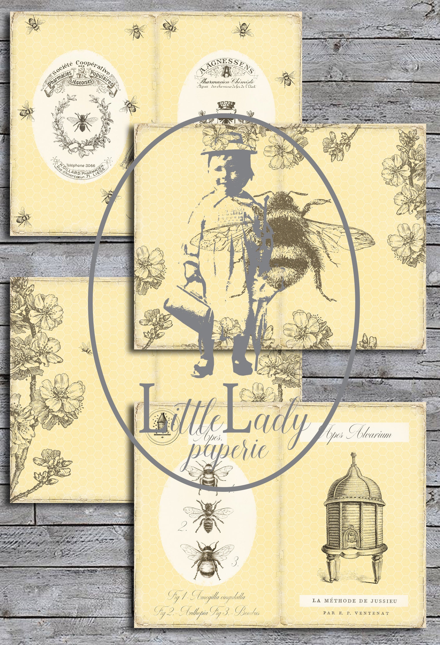 Bee Junk Journal Digital Bees Journal Pages Queen Bee Collage - Etsy
