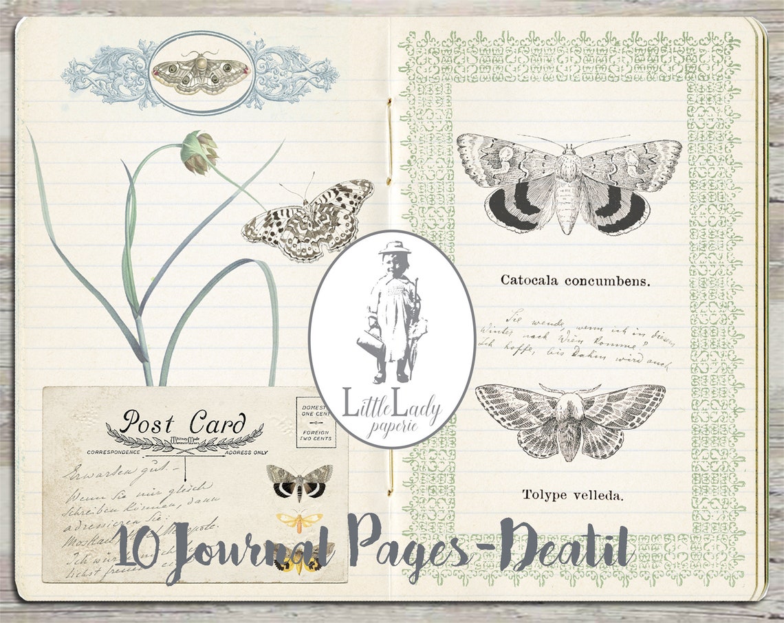 Butterfly Journal Pages Printable Scrapbooking Junk Journal | Etsy