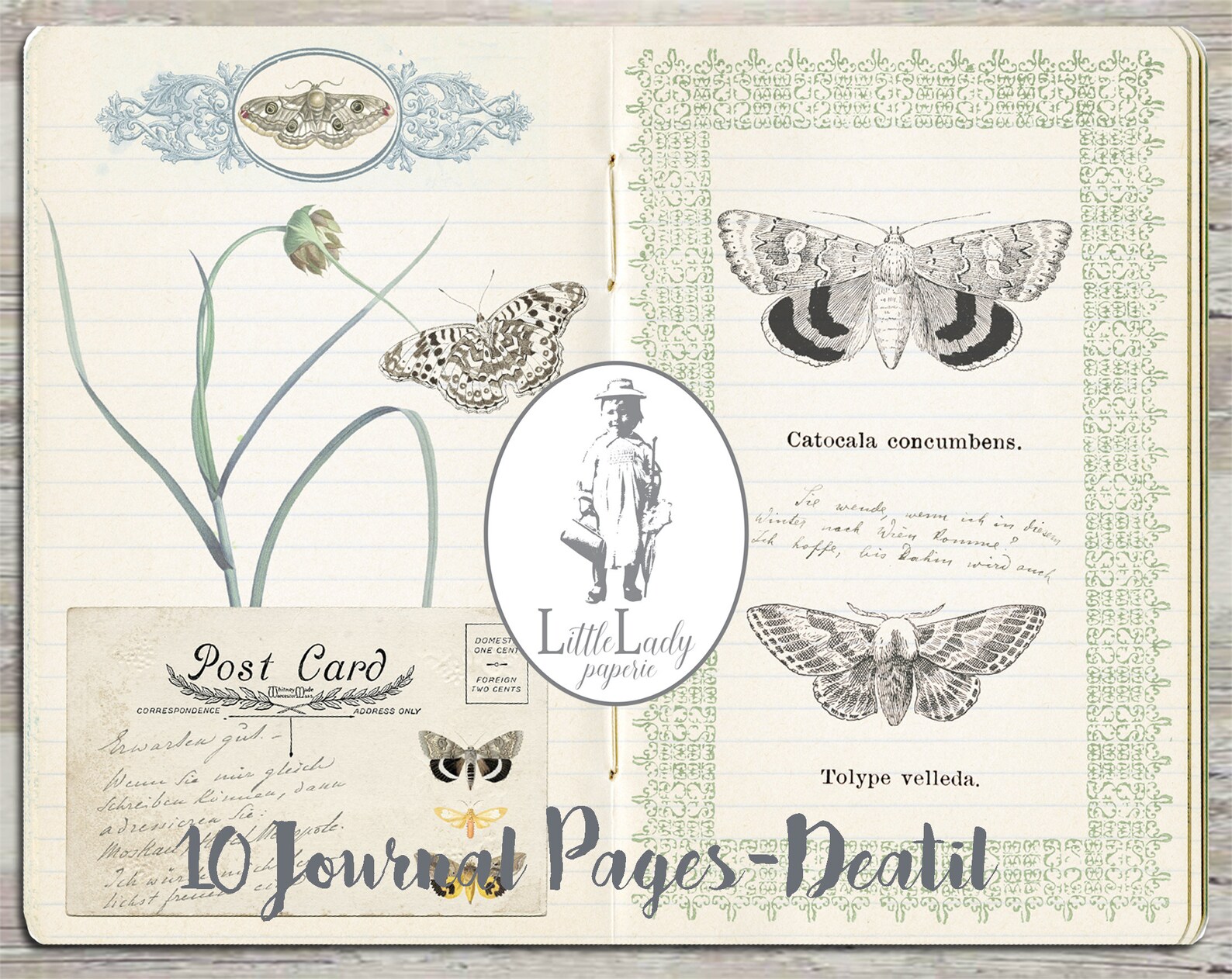Butterfly Journal Pages Printable Scrapbooking Junk Journal | Etsy