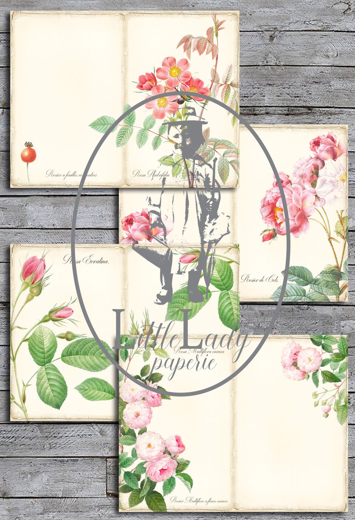 French Pink Rose Junk Journal Digital Pages French Rose Junk - Etsy
