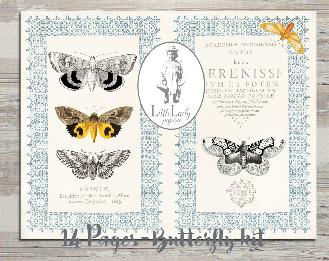Butterfly Junk Journal Kit Butterfly Dragonfly Pages - Etsy