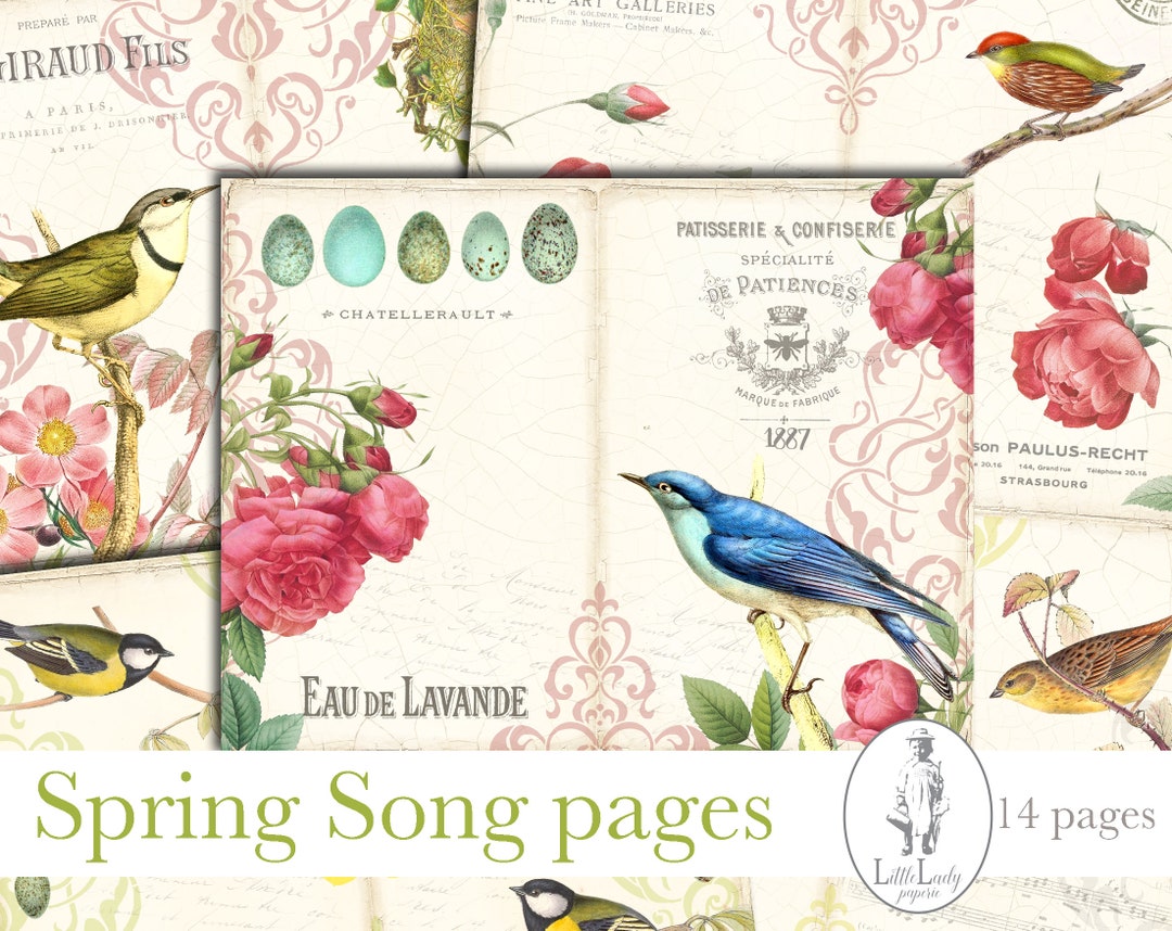 Shabby Chic Bird Junk Journal Pages, Spring Song Ephemera (digital ...