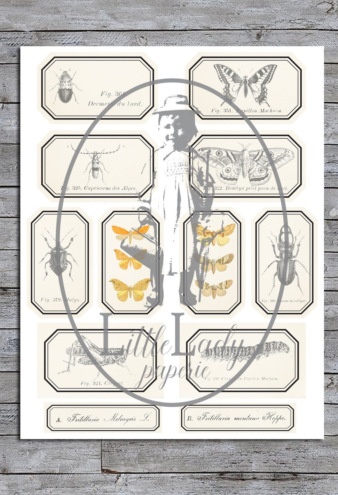 Digital Labels Junk Journal Science Label Digital Woodland - Etsy