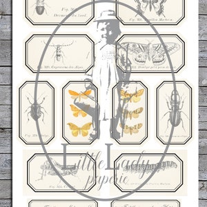 Digital Labels Junk Journal Science Label Digital Woodland Label ...