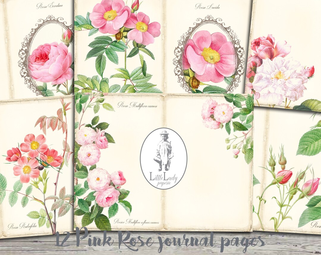 French Pink Rose Junk Journal Digital Pages French Rose Junk Journal Printable Rose Ephemera ...