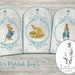 Vintage Peter Rabbit Gift Tags Labels Printable Tags Paper Crafting ...