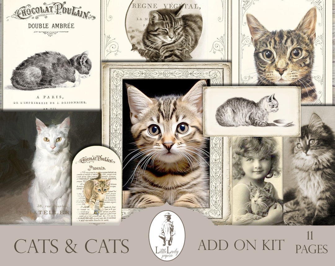Cats Junk Journal Digital Kit Cats Junk Journaling Pages Cats Ephemera ...
