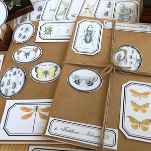 Digital Labels Junk Journal Science Label Digital Woodland Label ...