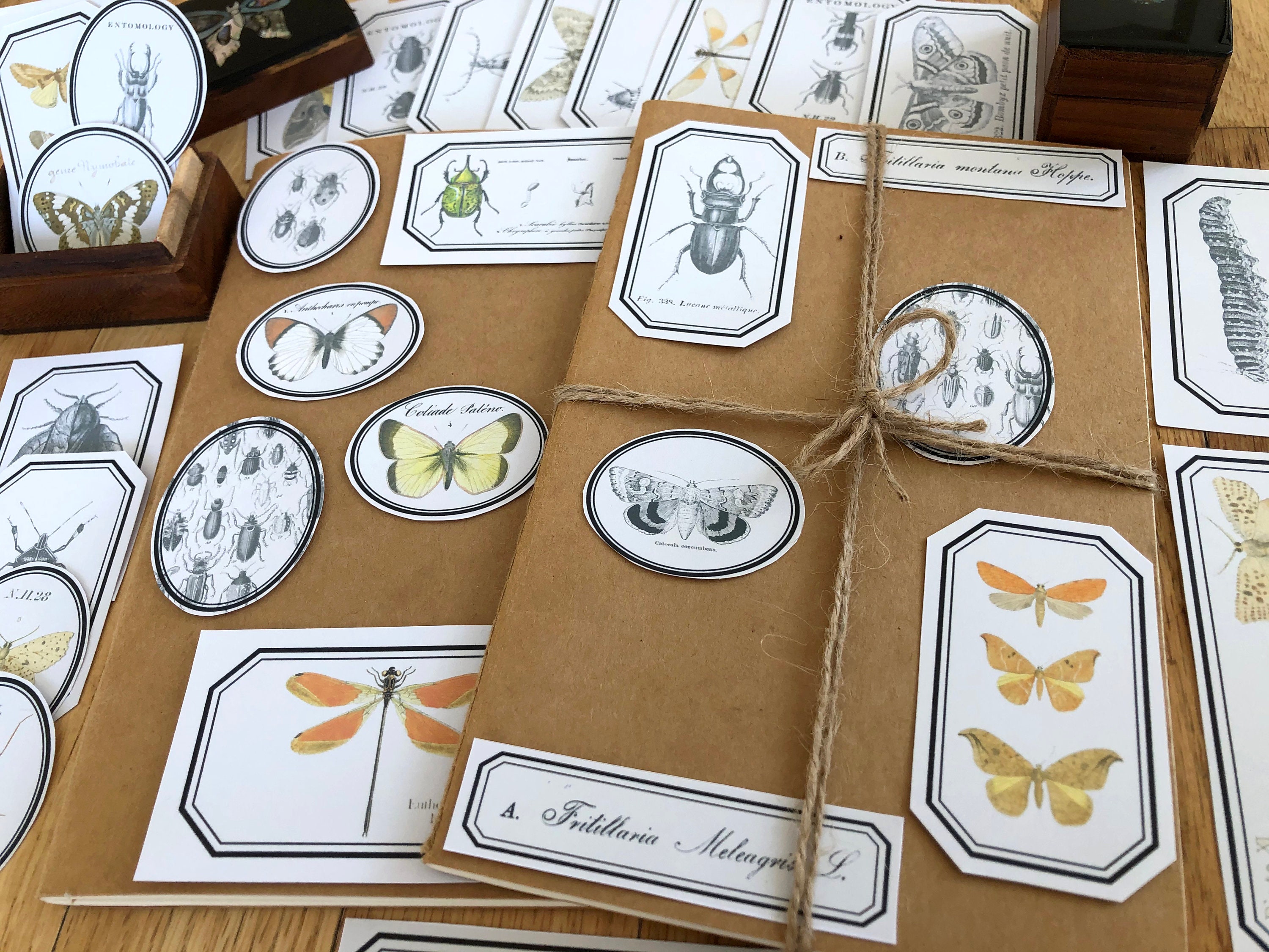 Digital Labels Junk Journal Science Label Digital Woodland - Etsy