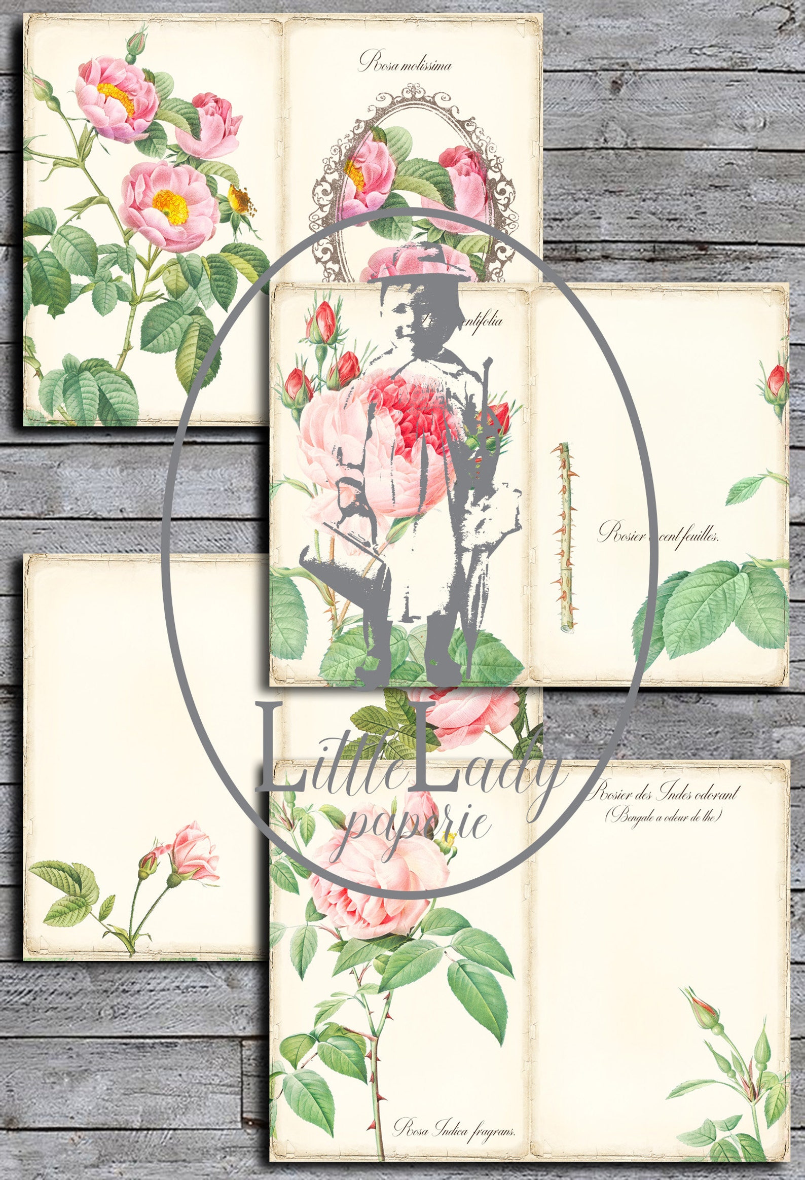 French Pink Rose Junk Journal Digital Pages French Rose Junk - Etsy