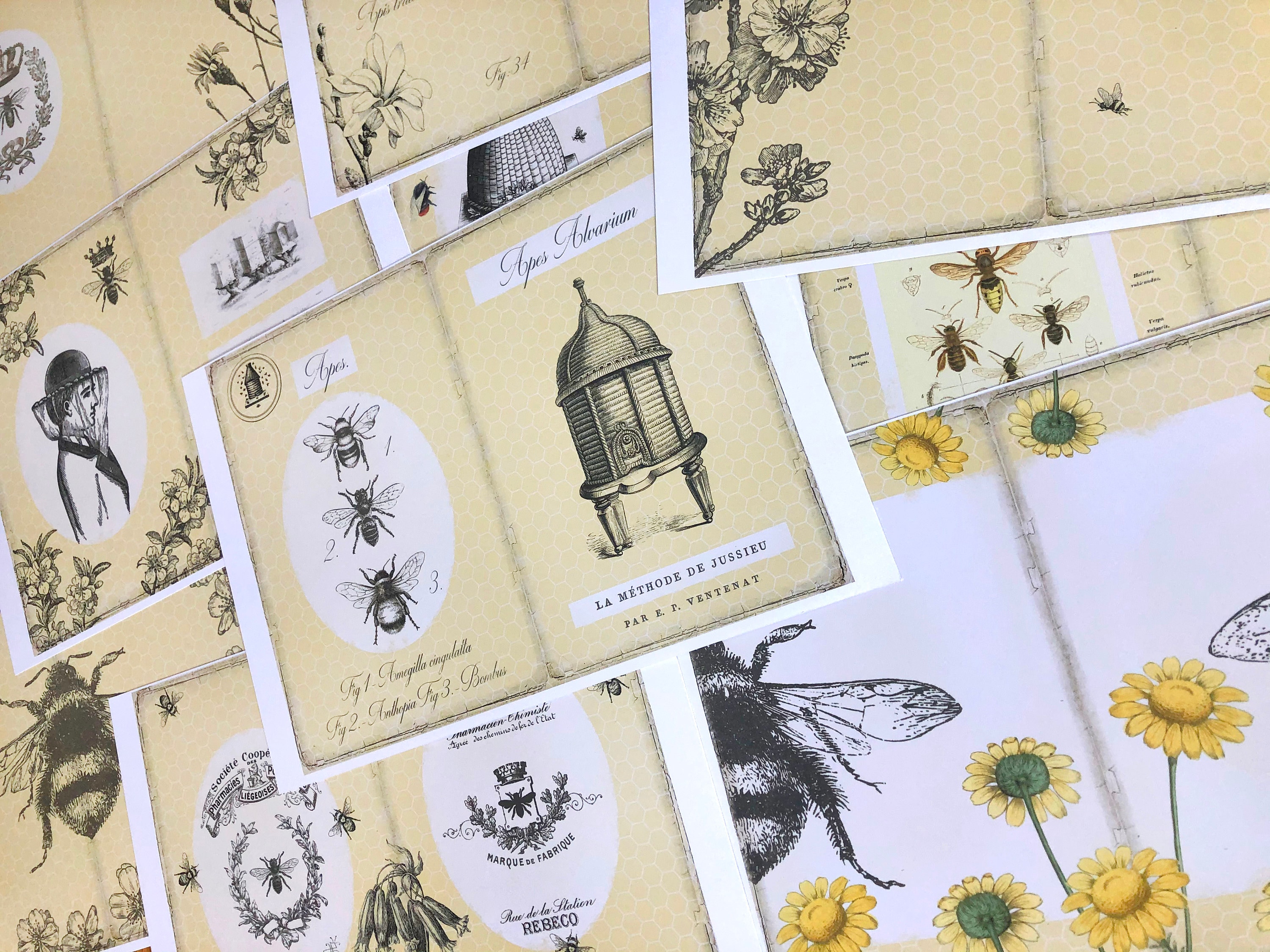 Bee Junk Journal Digital Bees Journal Pages Queen Bee Collage - Etsy