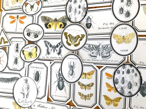 Digital Labels Junk Journal Science Label Digital Woodland - Etsy