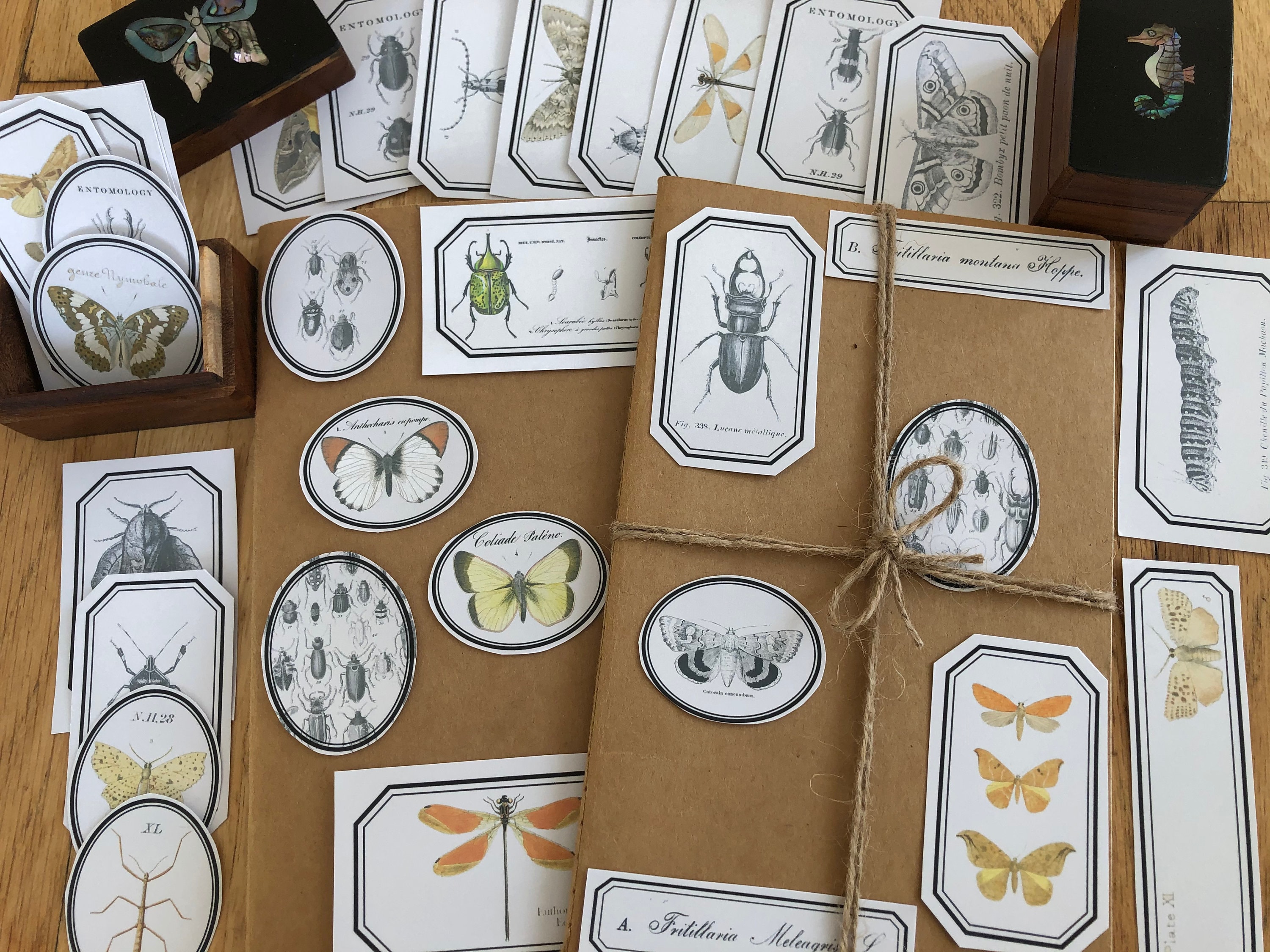 Digital Labels Junk Journal Science Label Digital Woodland - Etsy