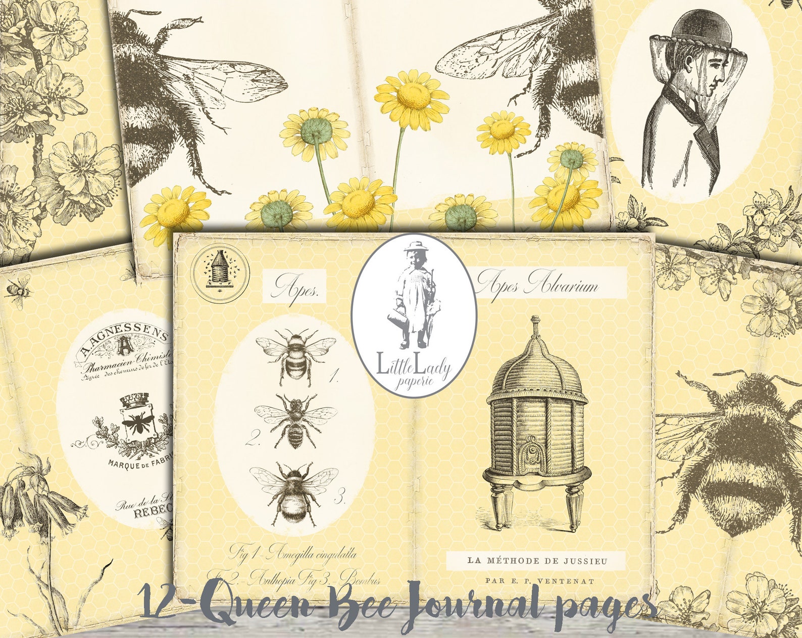 Bee Junk Journal Digital Bees Journal Pages Queen Bee Collage - Etsy