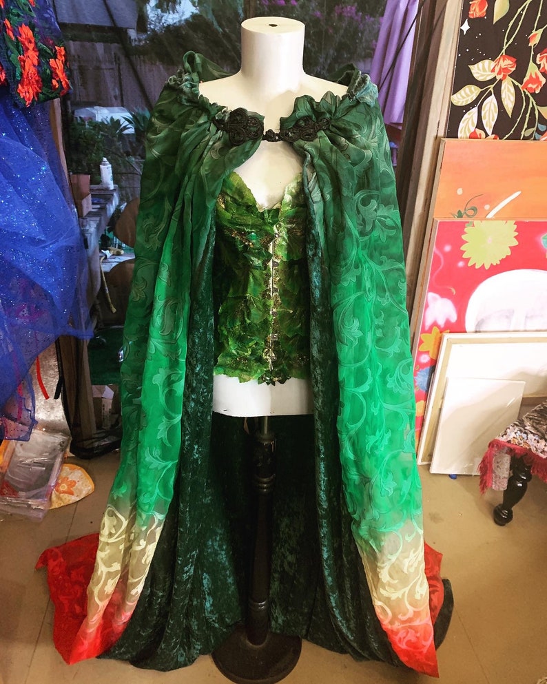 Partial Custom Made to Order Poison Ivy Cape and Corset no Gloves, Ivy ...
