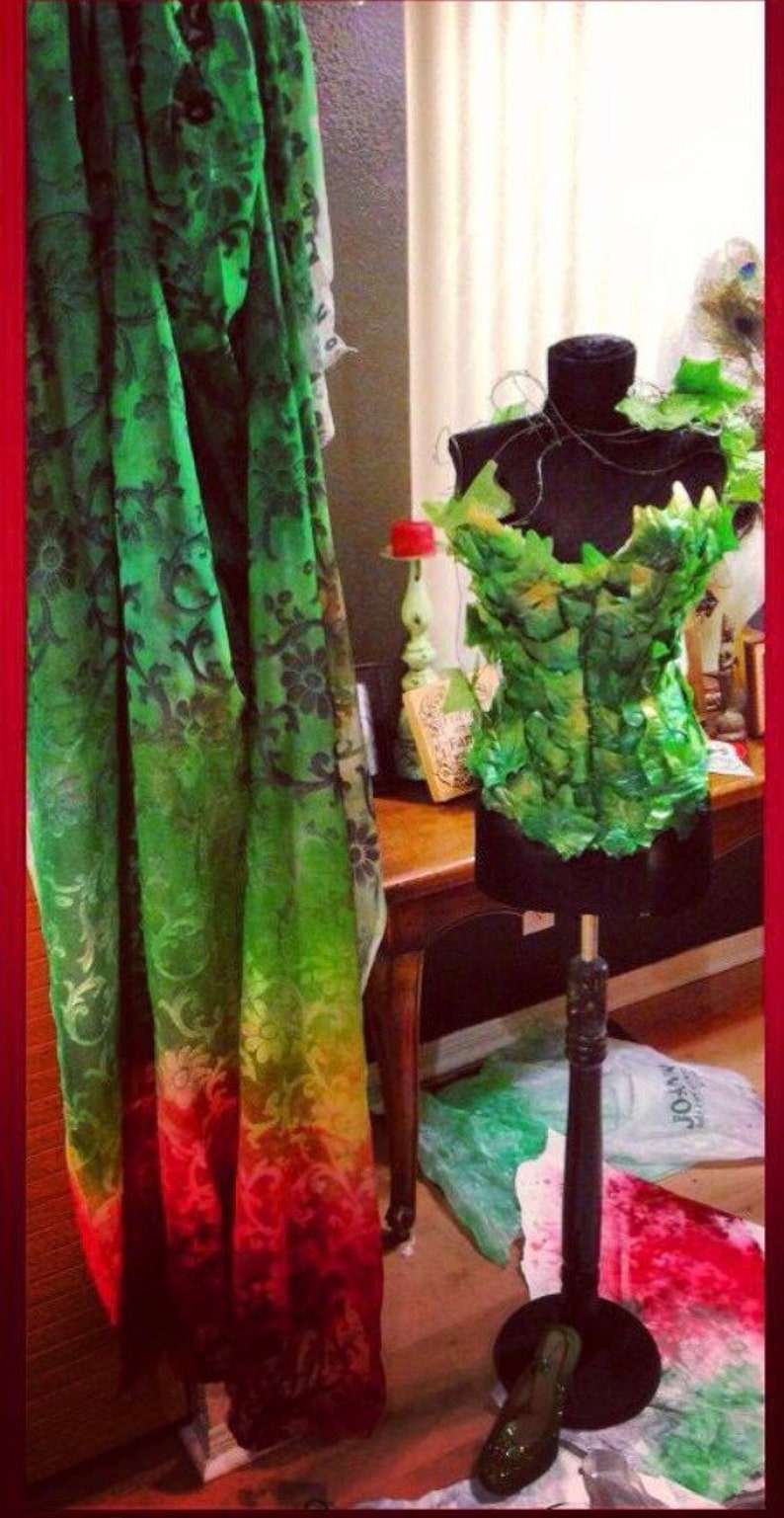 Partial Custom Made to Order Poison Ivy Cape and Corset no - Etsy