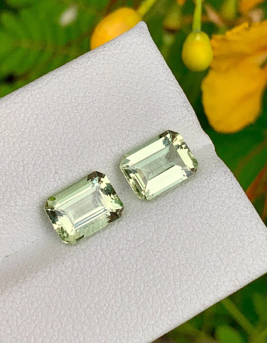Unheated Beryl Matching Pair: Stunning Octagon Shape, 2.93 Carats of ...
