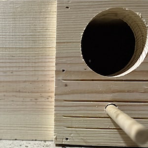 Sun Conures, Parrot Nesting Box - Etsy