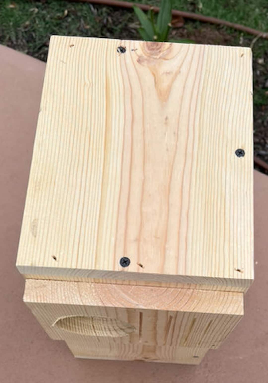 Sun Conures, Parrot Nesting Box - Etsy