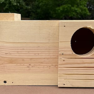 Sun Conures, Parrot Nesting Box - Etsy