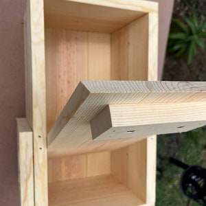 Sun Conures, Parrot Nesting Box - Etsy