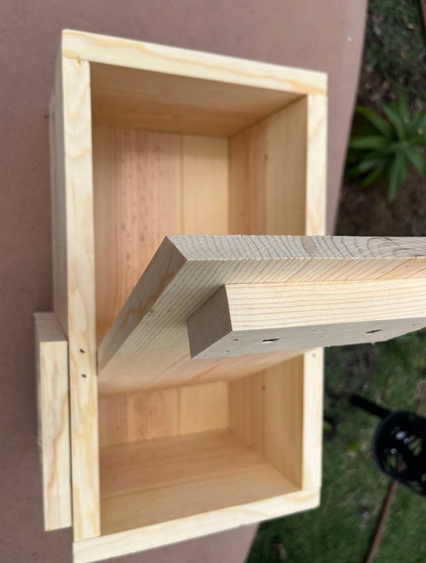 Sun Conures, Parrot Nesting Box - Etsy