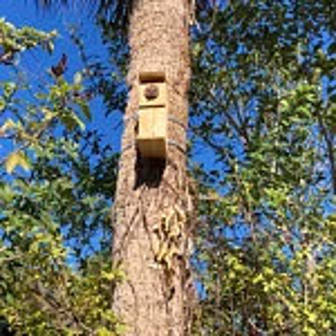 Owl Nesting Box Handmade - Etsy