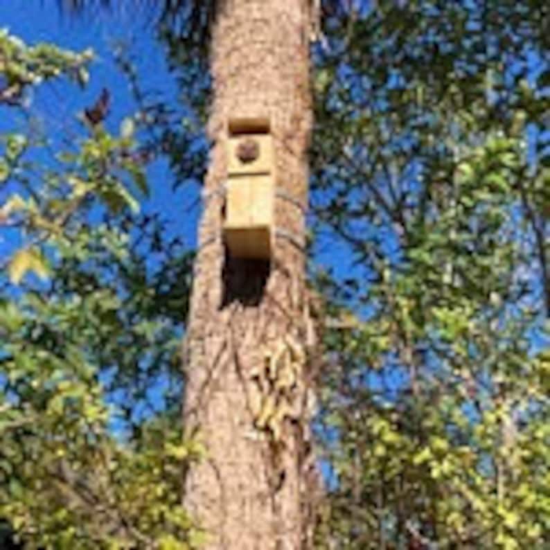 Owl Nesting Box Handmade - Etsy