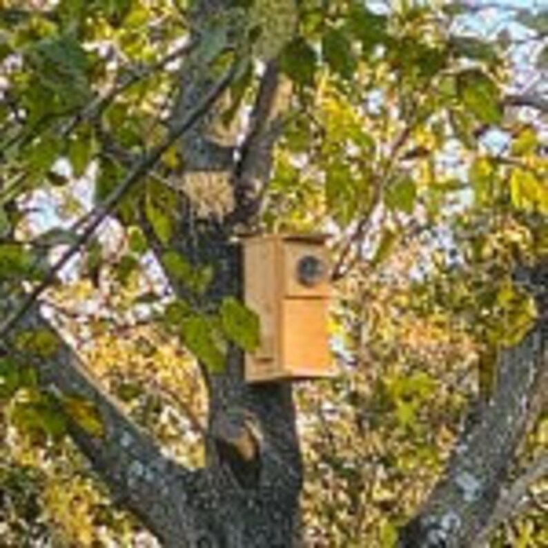 Owl Nesting Box Made of Cedar - Etsy