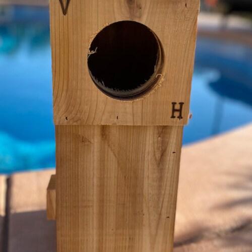 Mason Bee Hatching Box the Baby-bee Nursery Nontoxic | Etsy