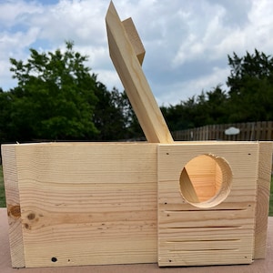 Sun Conures, Parrot Nesting Box - Etsy