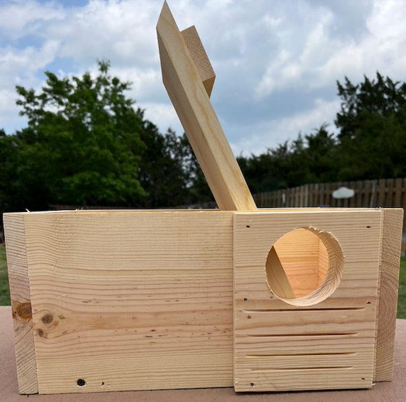 Sun Conures, Parrot Nesting Box - Etsy