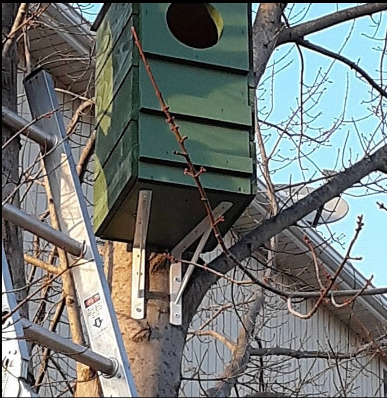 Barred Owl or Great Horned Owl Nesting Box - Etsy