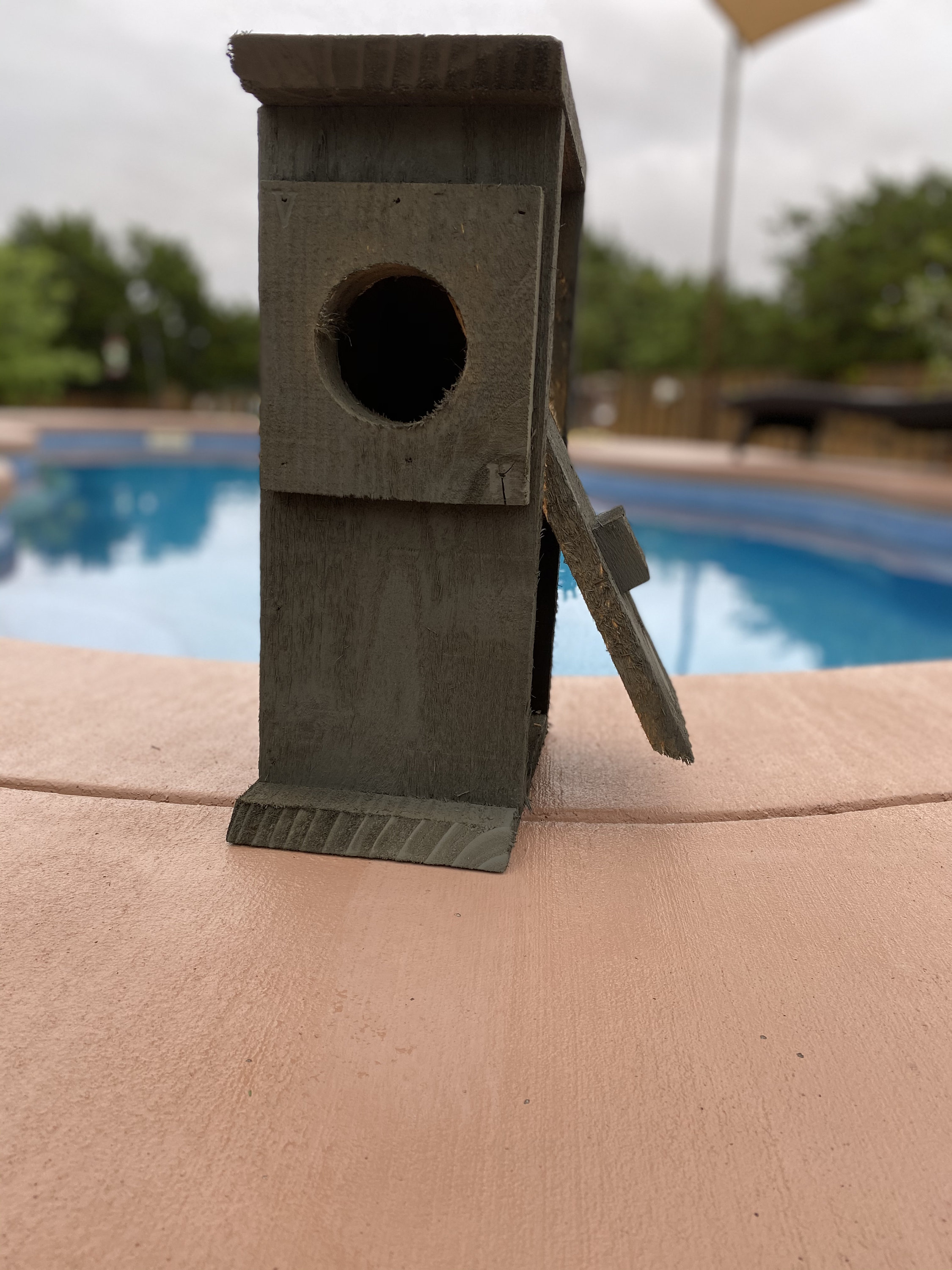 Owl Nesting Box Made of Cedar - Etsy