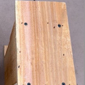 Screech Owl Single Nesting Box Handmade - Etsy