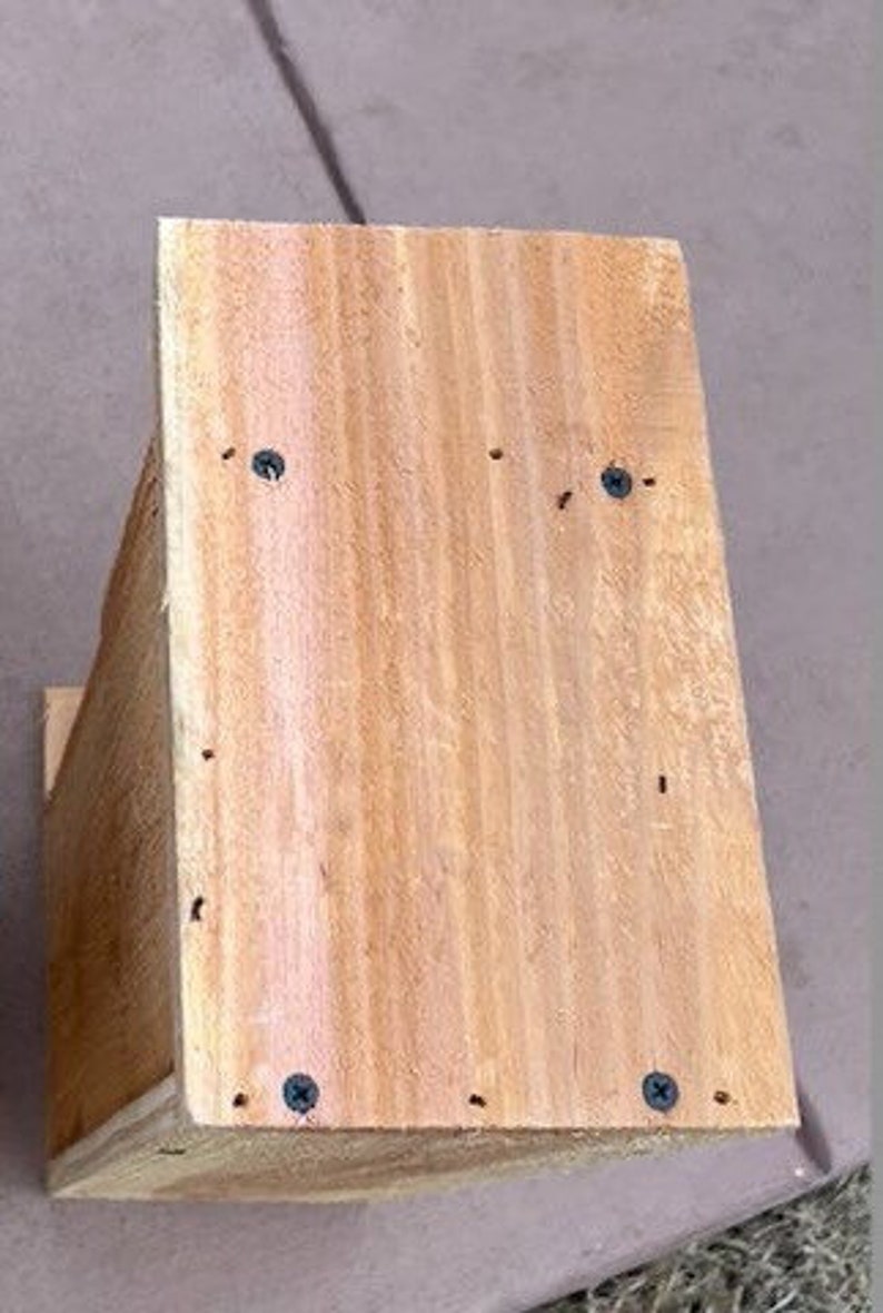 Screech Owl Single Nesting Box Handmade - Etsy