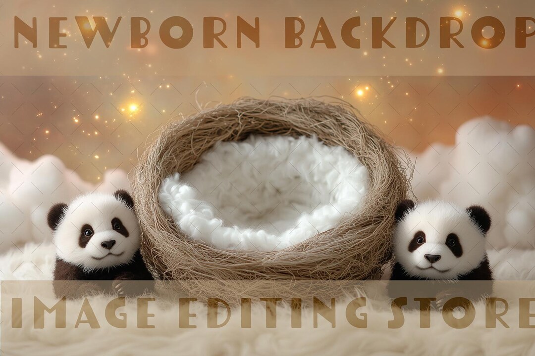Panda Cloud Cradle Newborn Backdrop - Etsy